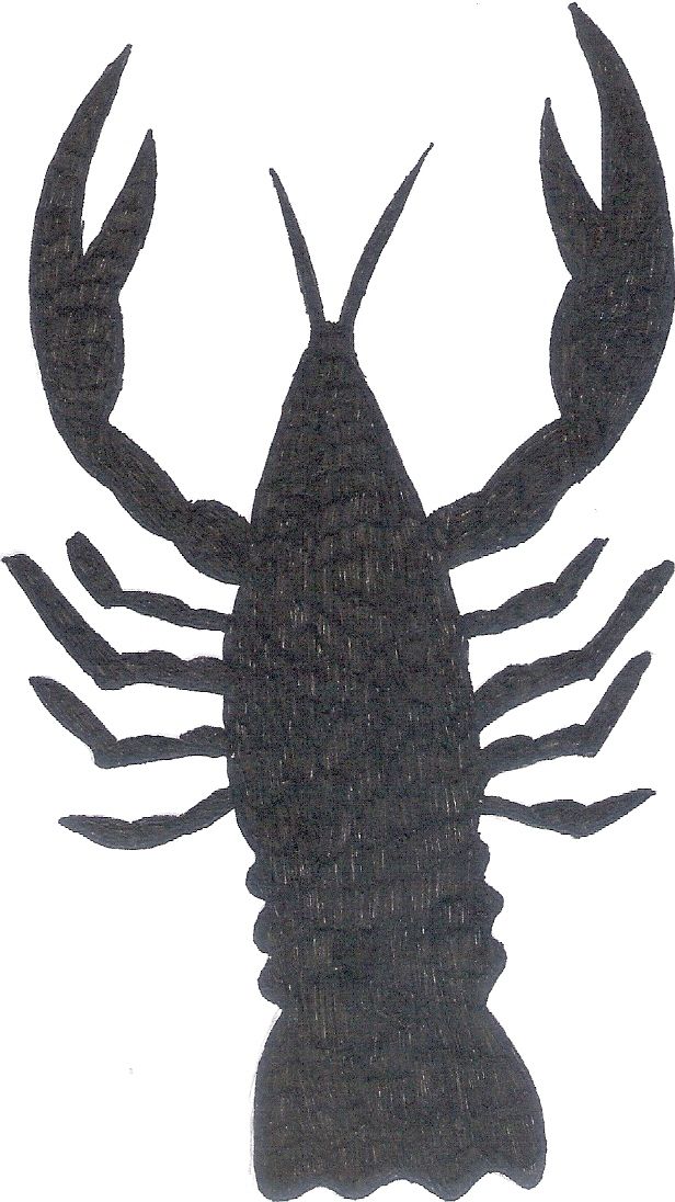 Rak prodej | Barevné meditace